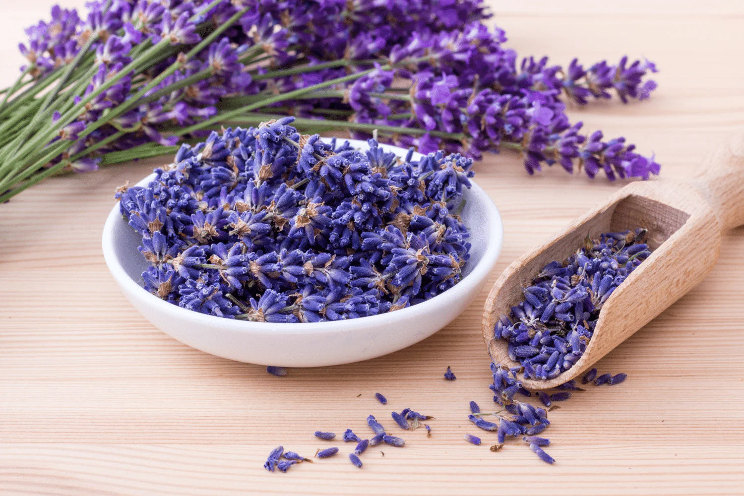 The Lavender Hive | Experience the Magic of Lavender